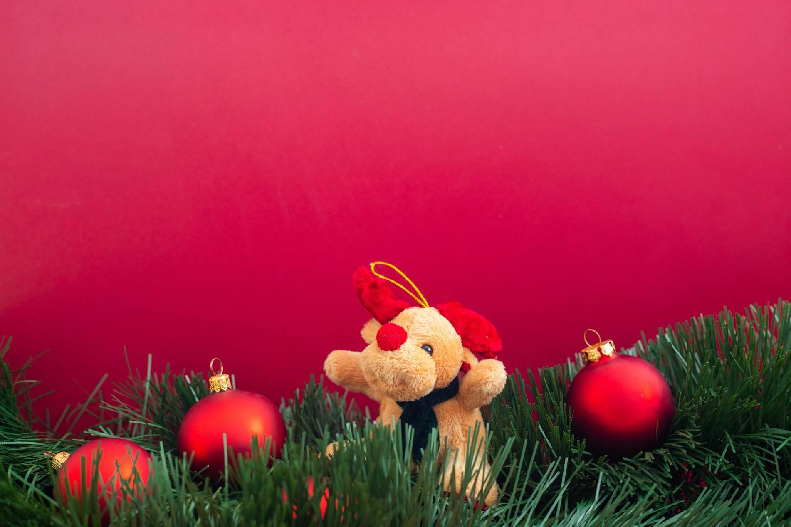 Les jouets incontournables pour noel : le guide ultime des idees cadeaux